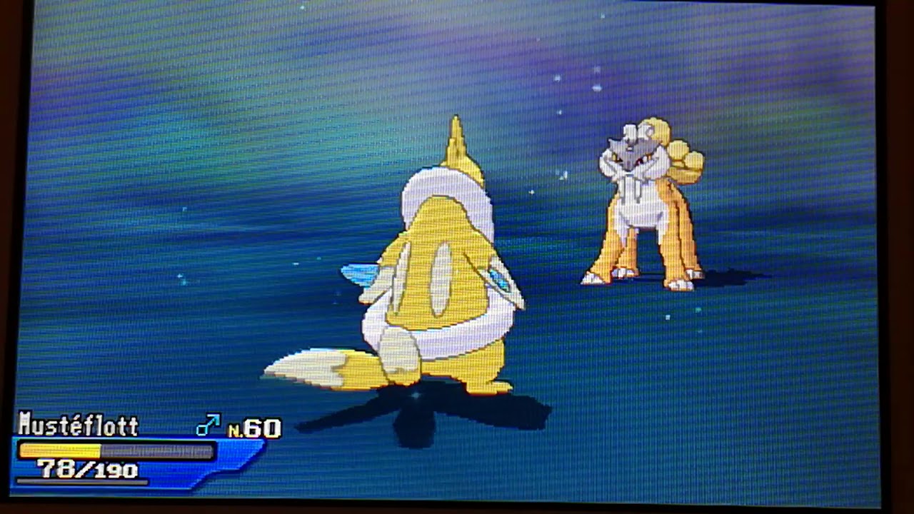 RAÏKOU SHINY POKÉMON ULTRA SOLEIL EN 916 RESETS !! - YouTube