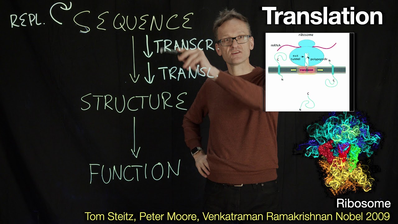 Lecture 01, concept 15: Translation - YouTube