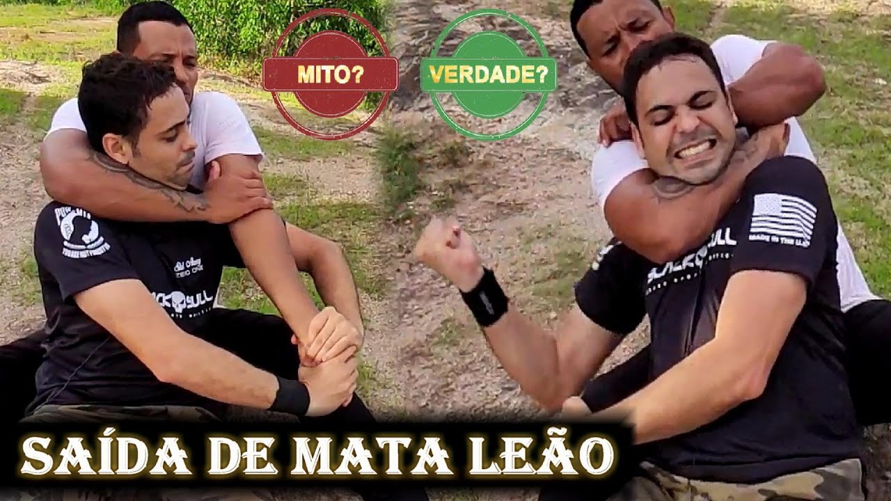 COMO SAIR DE UM MATA LEÃO | Mitos e Verdades ARTES MARCIAIS FÍGHT - YouTube