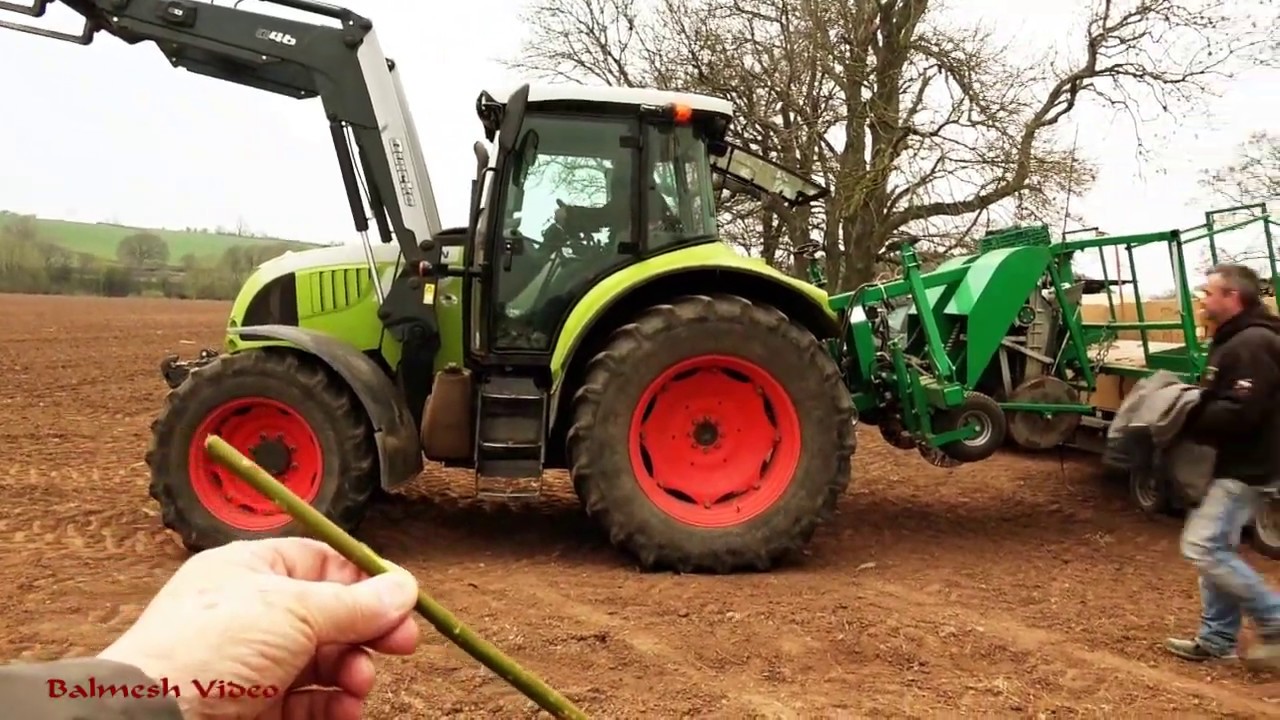 Planting Willow for Biomass. - YouTube