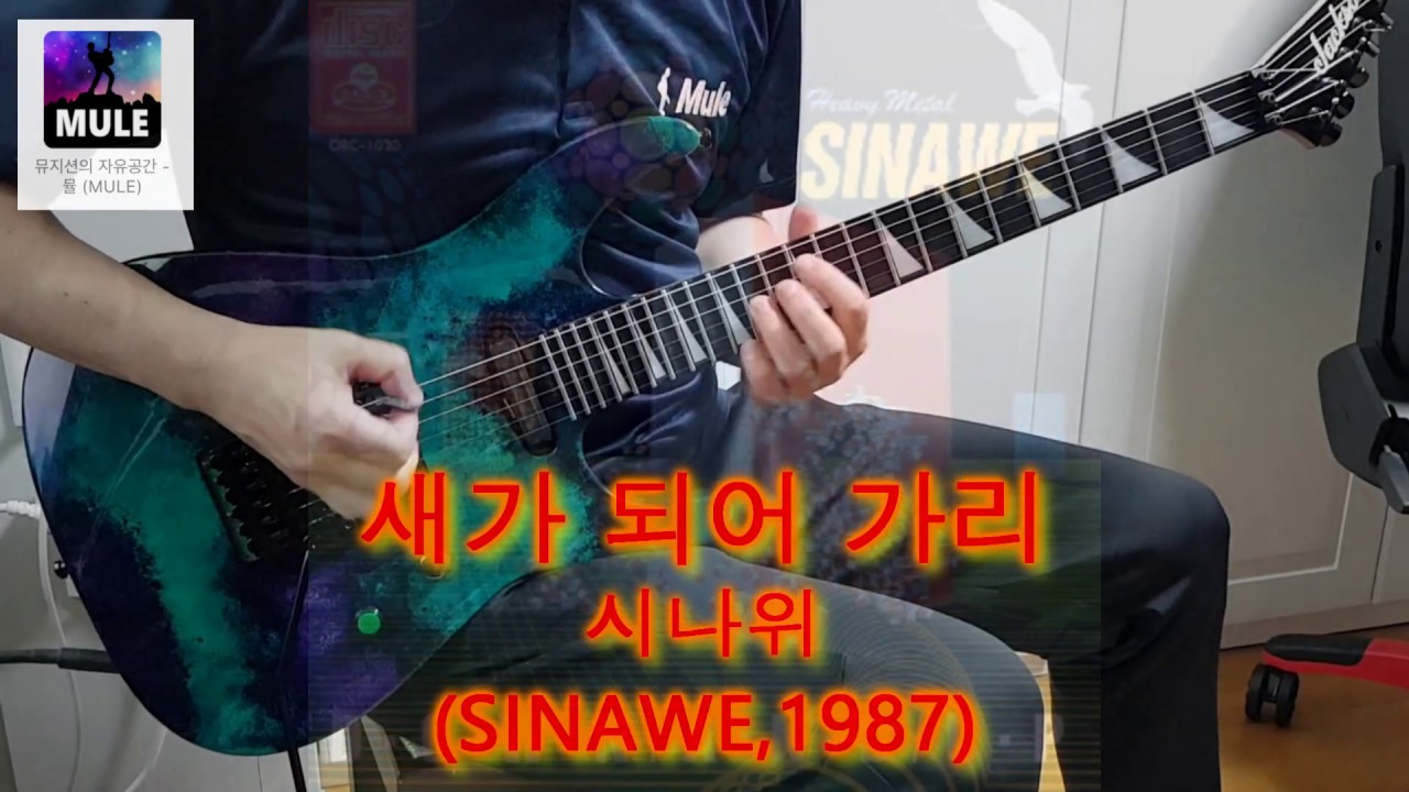 새가 되어 가리 - 시나위 (SINAWE,1987) - YouTube