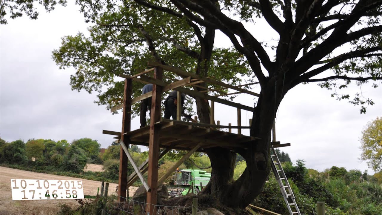 Tree House time lapse - YouTube