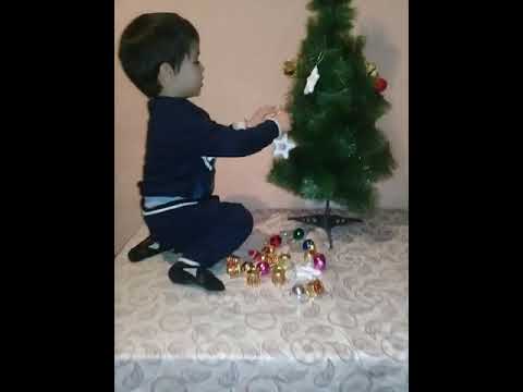 Eli Hesen  yolka bezeyir
