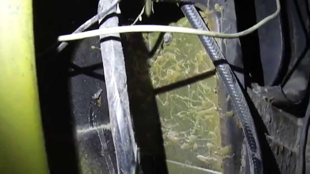 C3 Corvette Birdcage inspection: Extremely Clean! - YouTube