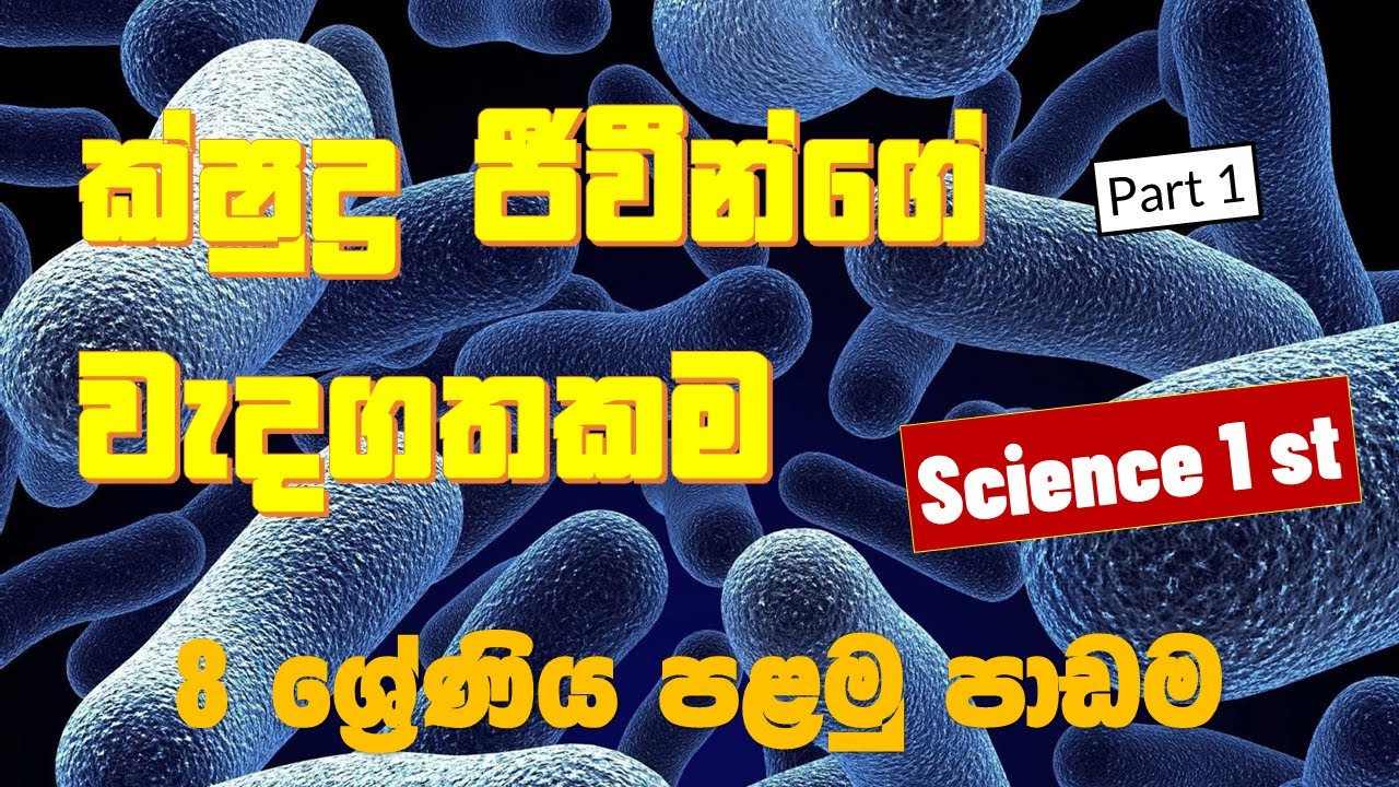 Grade 8 science unit 1 part 1 - YouTube