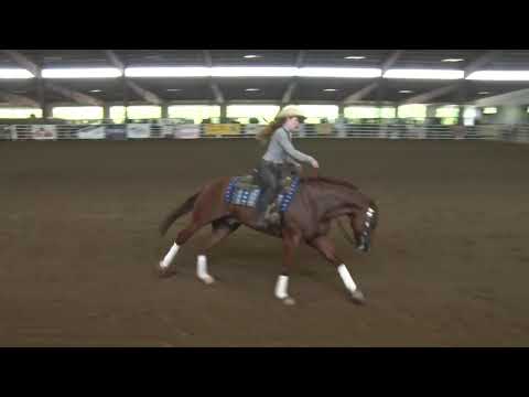 200725 Open Shannon Quinlan on Ruf N Shiney - YouTube