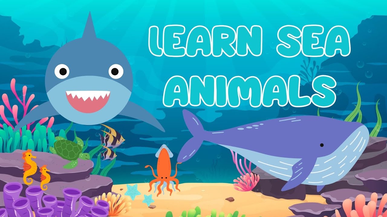 Learn Sea Animals | Learn English | Learn vocabulary - YouTube
