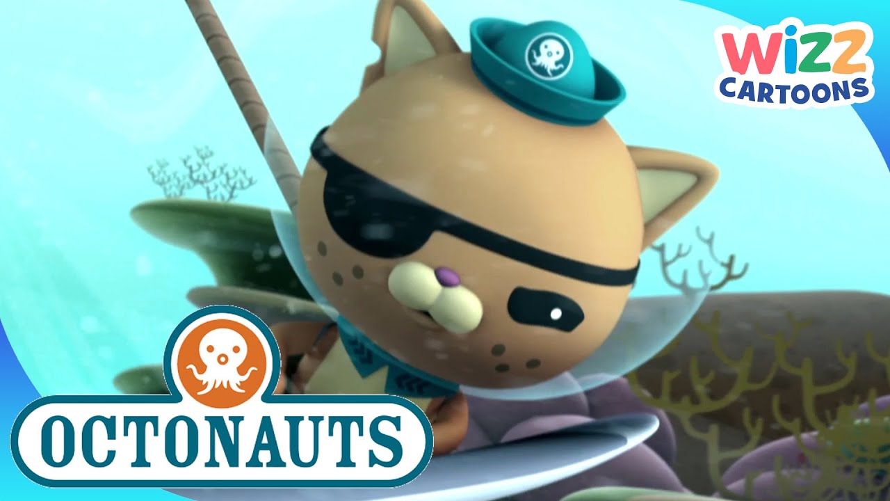 @Octonauts - Kwazii is a Hero | Compilation | Wizz Cartoons - YouTube