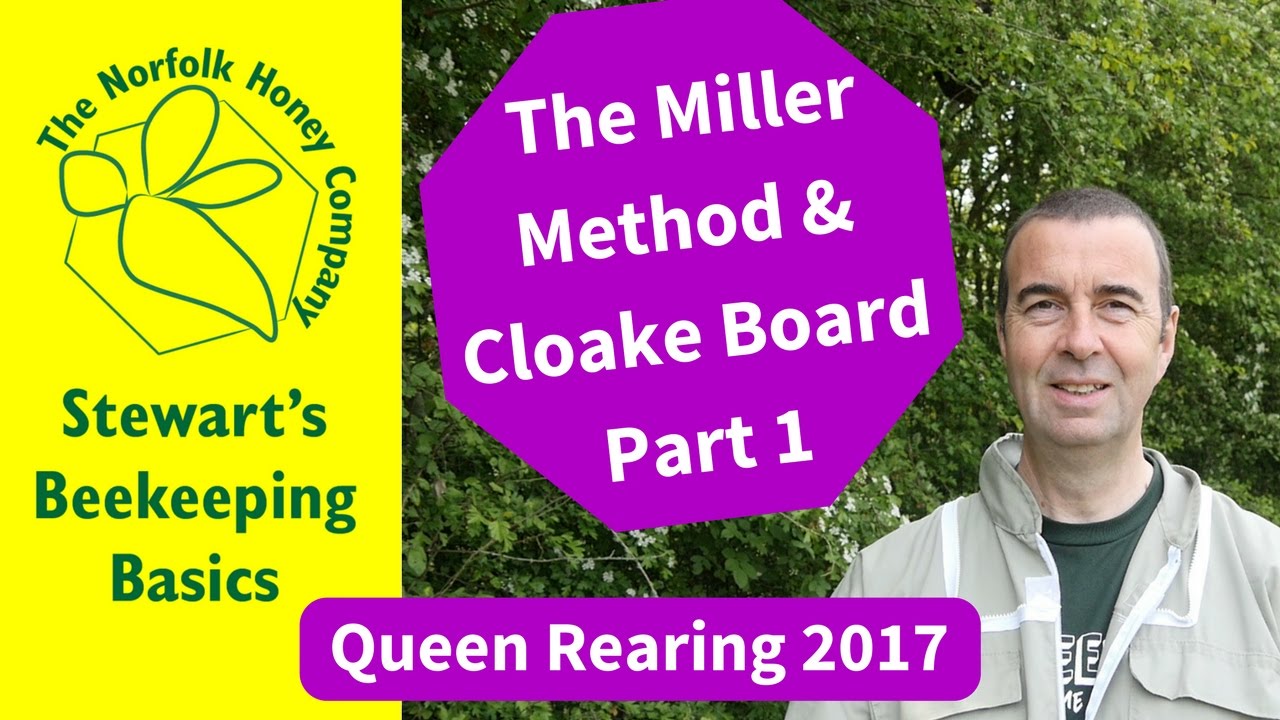 Queen Rearing - The Miller Method and Cloake Board - Part 1 - YouTube