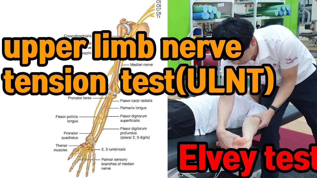 [iamPT] ULNT-4 ulnar nerve 의 신경병증 검사방법 네번째..! 목신경에서 상지 신경의 문제를 확인해보자 ...