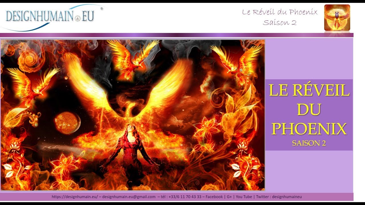 Design Humain/Human Design : Le Réveil du Phoenix, Ép. 1 : Alerte ...