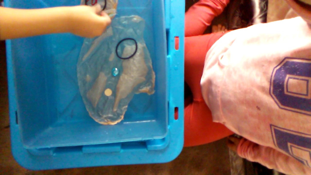the plastic challenge - YouTube