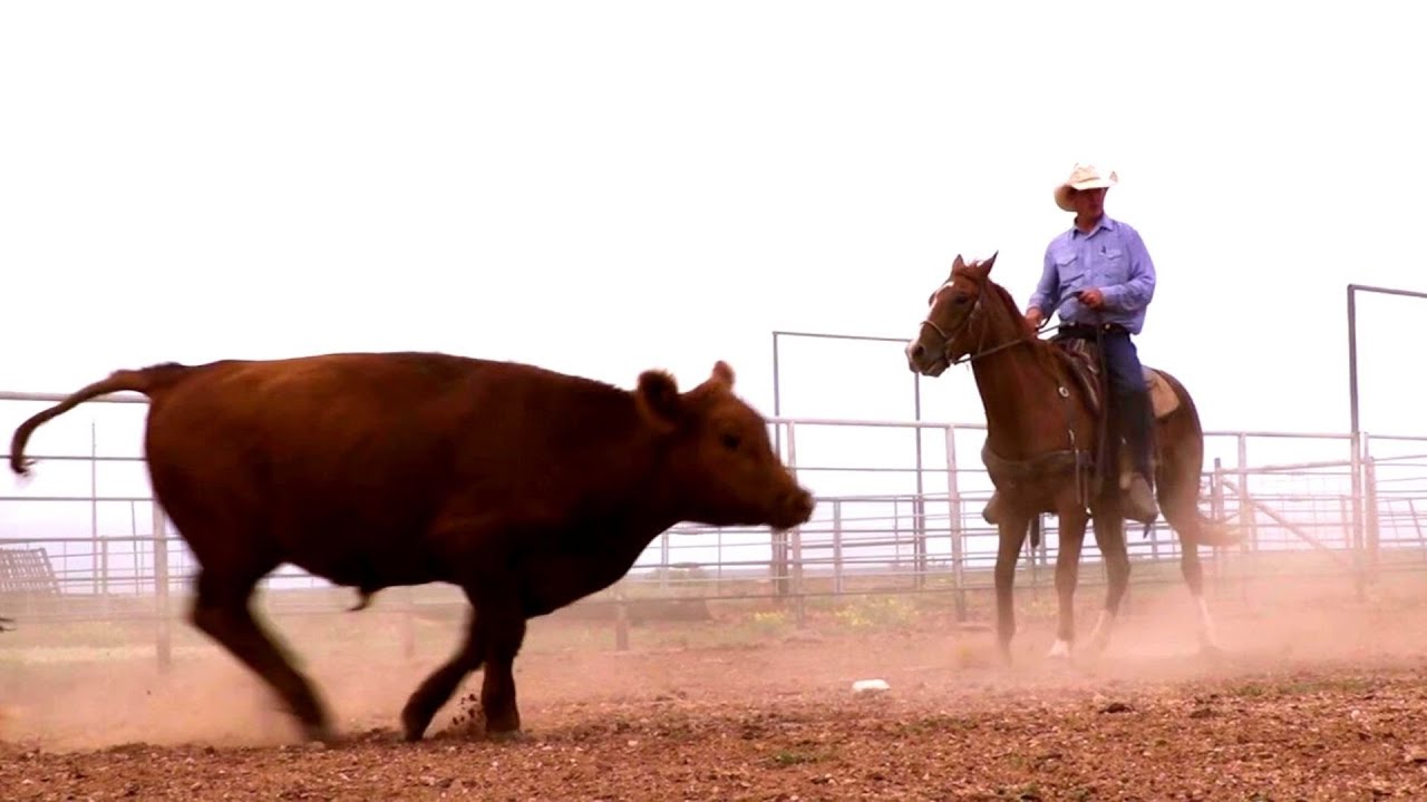 COWBOYS: A Documentary Portrait - YouTube