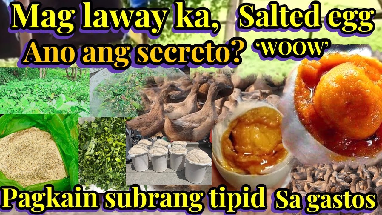 Secreto ng Itlog maalat na nag mamantika || artificial na pagkain ng ...