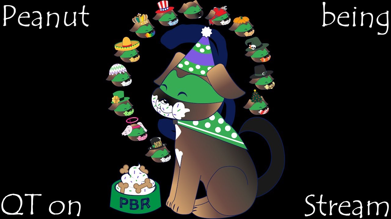 Streamer Dog Being Cute and Bad - YouTube