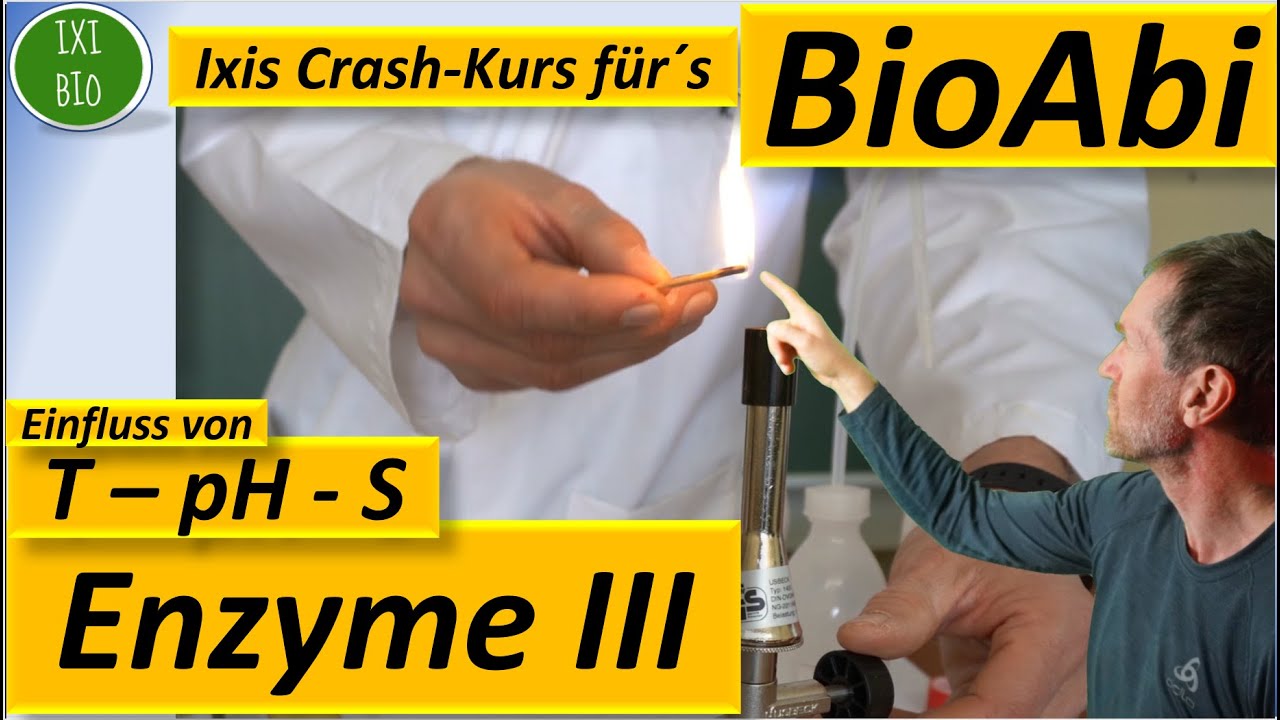 Enzyme 3: Anwendungsaufgaben: Beeinflussung d.Enzymaktivität Temp., pH ...
