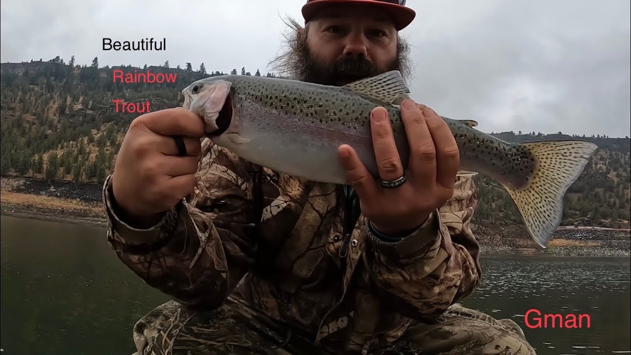 Ochoco reservoir EP:3 fly fishing trout - YouTube