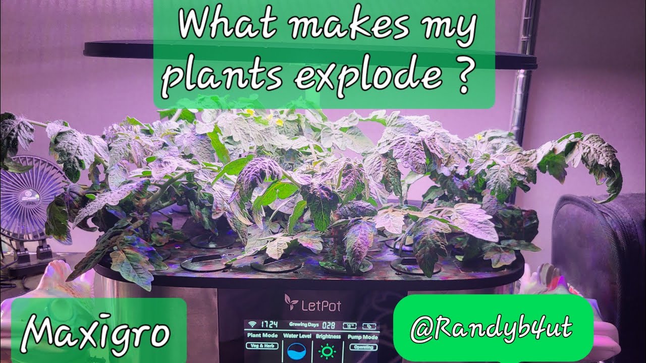 What makes my plants explode in growth. - YouTube