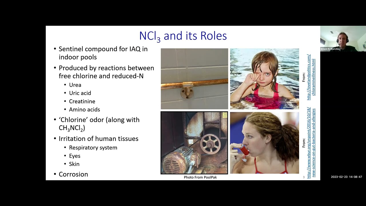 Indoor Air Quality in Swimming Facilities: Dynamics of Gas Phase ...
