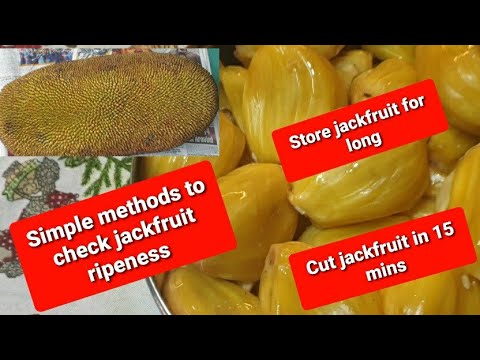 Jackfruit. How to check ripe or not, how to cut easilyhow to store for ...