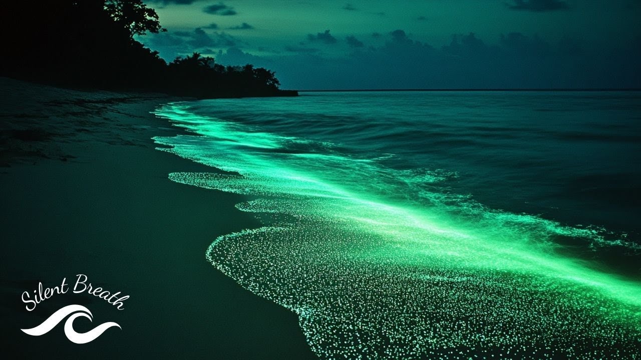 Experience Deep Sleep with Peaceful Ocean Waves | Relaxing Sounds for a ...