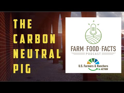 The Carbon Neutral Pig
