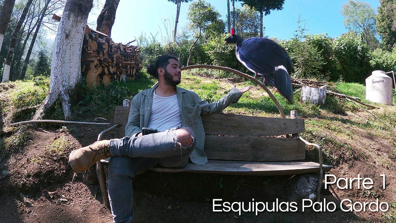 Investigación Científica: Buscando Pavo de Cacho en Esquipulas Palo ...