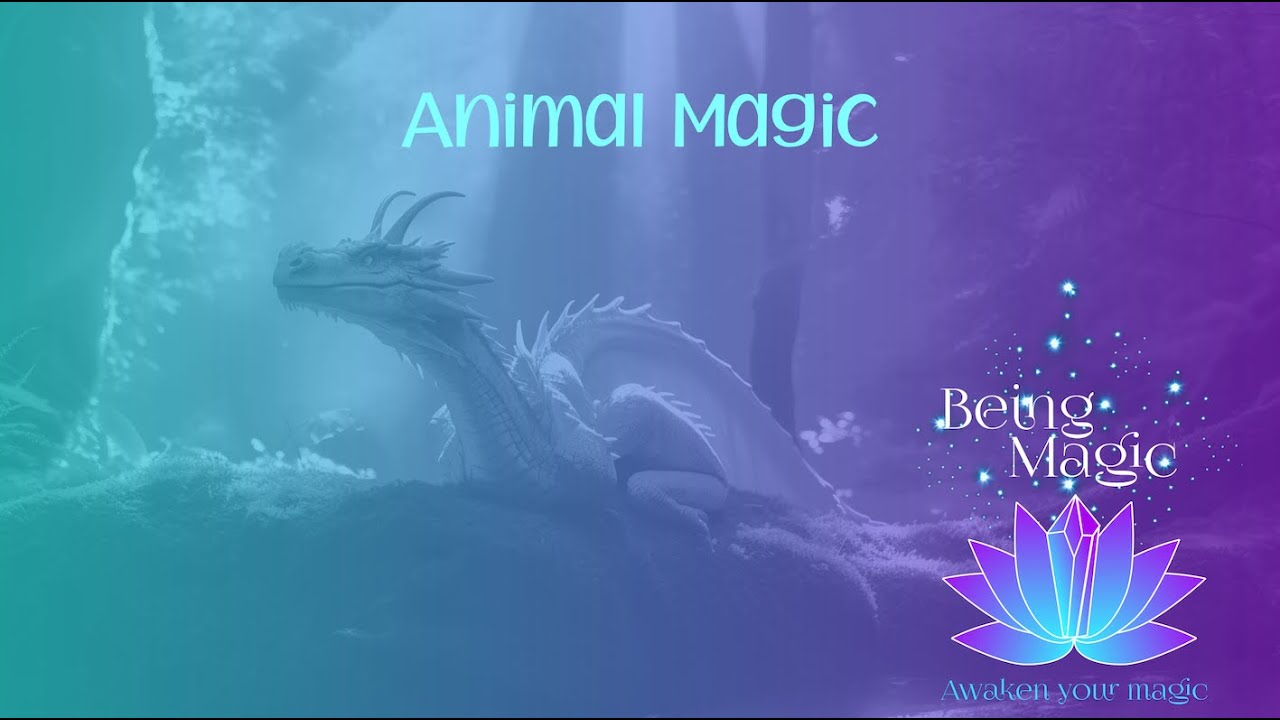 Animal Magic! 🦄💜🐉🦋🐾 - YouTube