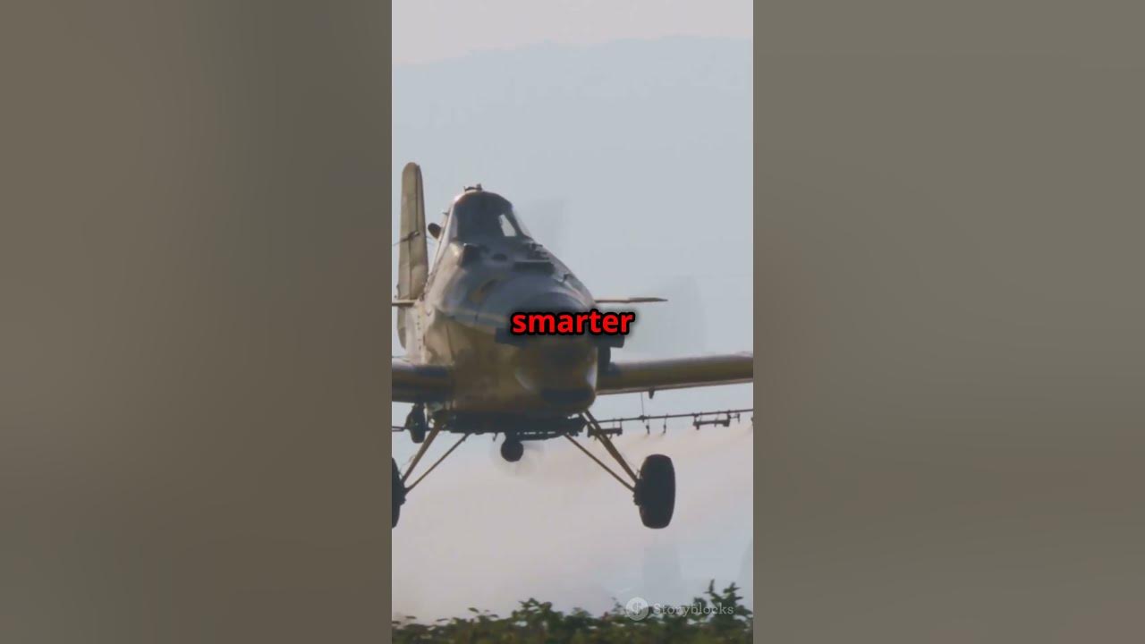 Are Locust Plagues Unstoppable? #locusts #shorts #wildlife - YouTube