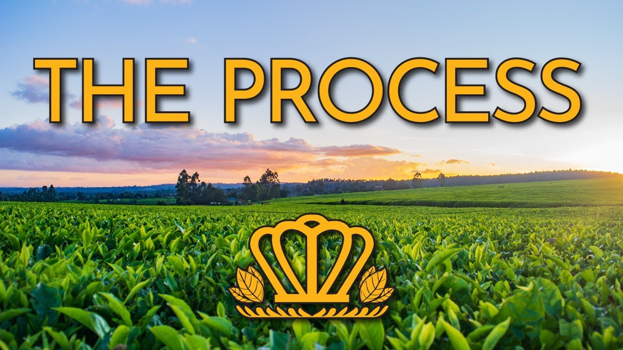 How Premium Cigars Are Made: Post-Fermentation Process Explained - YouTube