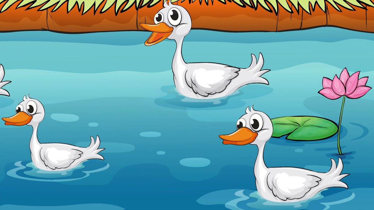 Five Little Ducks - Cinco Patitos - Kids Songs - Lagu Anak + More ...