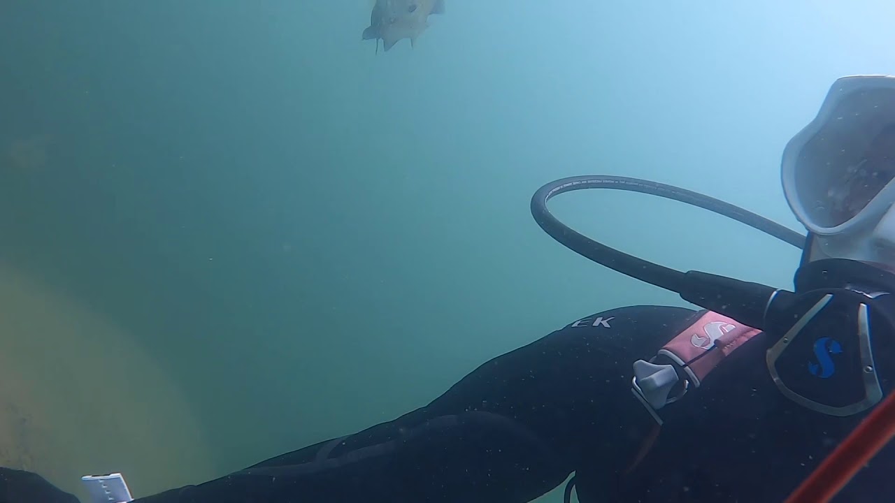 Scuba diving wheeler branch - YouTube