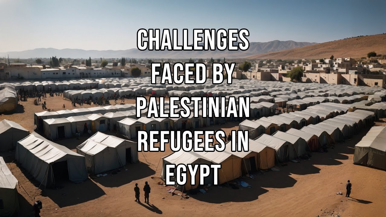 sa2 arbasha Amal Omar's channel #Challenges faced by Palestinian ...