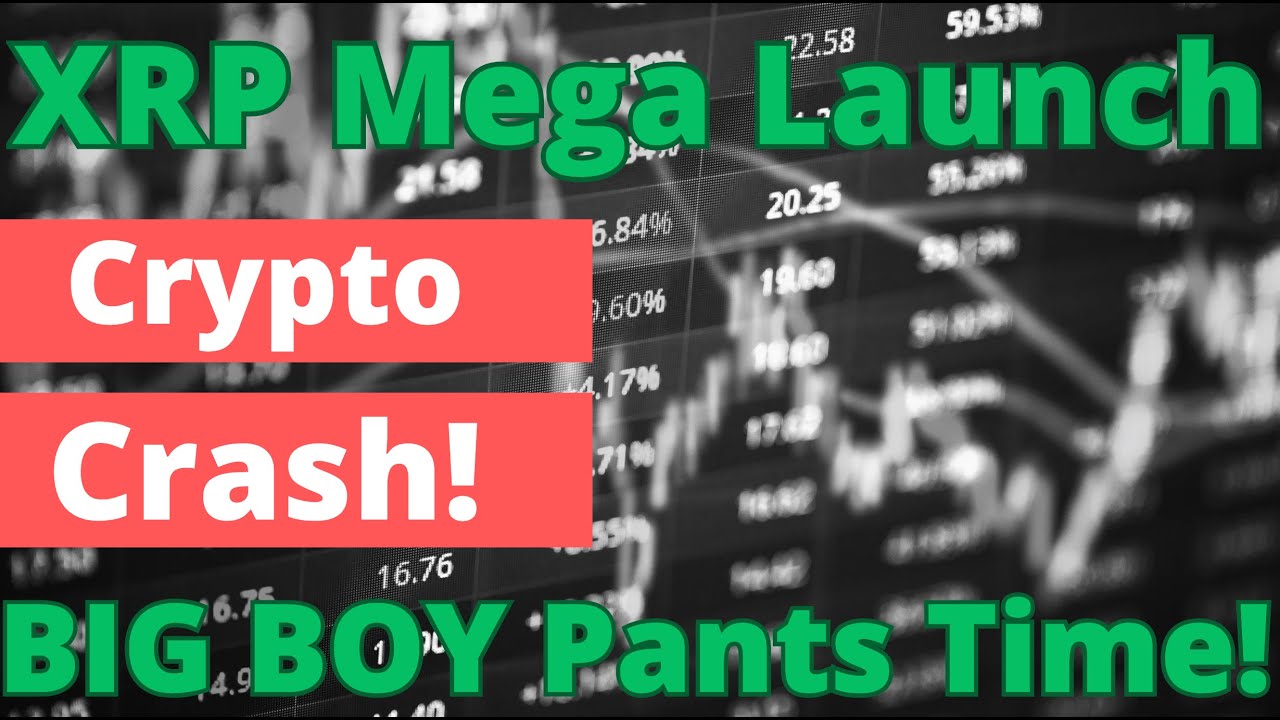 Ripple CEO Warning , XRP Mega Launch & ETF Theories - YouTube