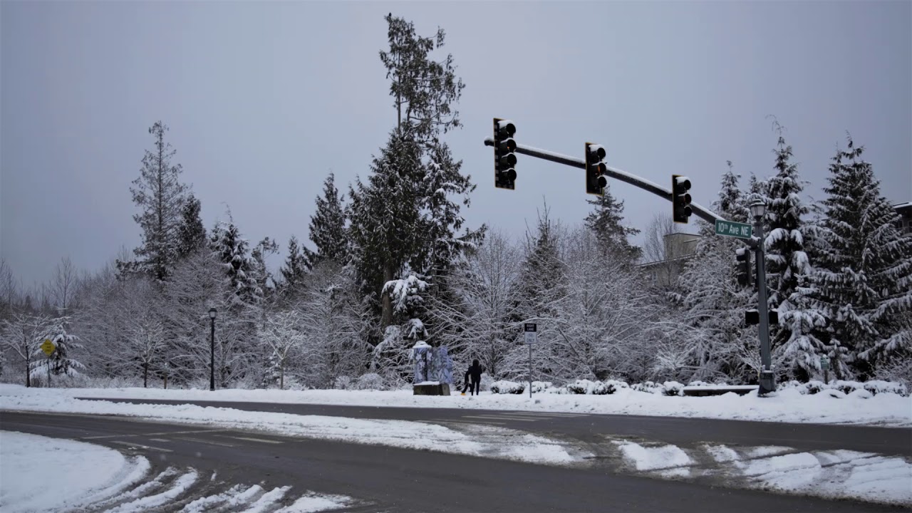 Valentine day snow, Issaquah highlands - YouTube