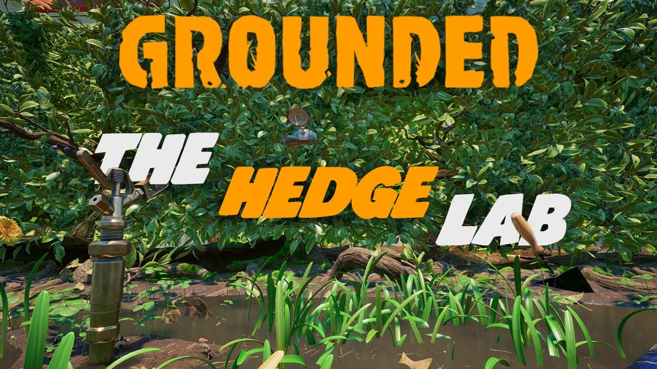 A Survival Game Like No Other: Grounded Multiplayer Gameplay - E3 - YouTube