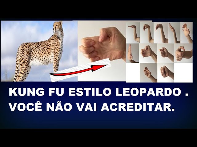Estilo Leopardo Kung Fu