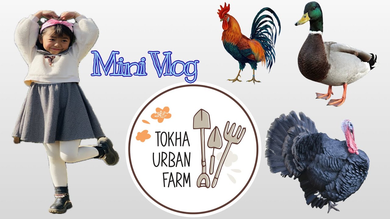 Dayout with my family|| A visit to Tokha Urban Farm & Green Valley ...