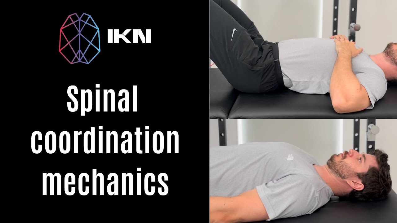Spinal Coordination Mechanics - YouTube