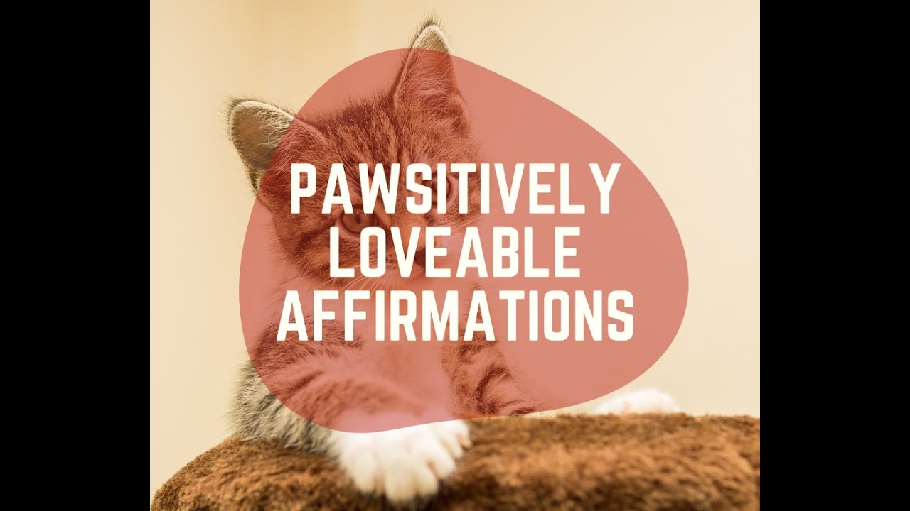 Pawsitively Lovable Affirmation Challenge - YouTube