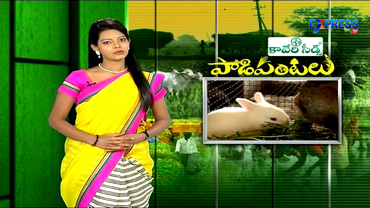 this is for you kundelu forms - YouTube