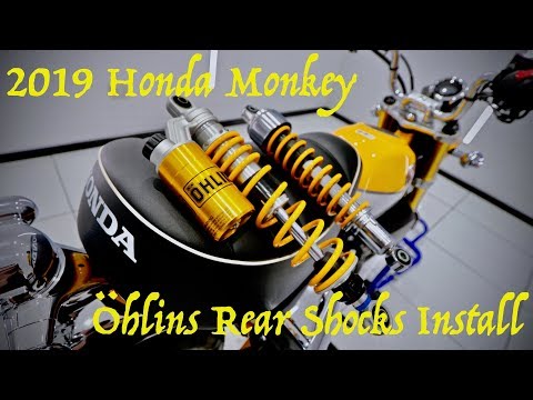 2019 Honda Monkey Ohlins Suspension/Rear Shocks Upgrade Install (1st Monkey Mod)