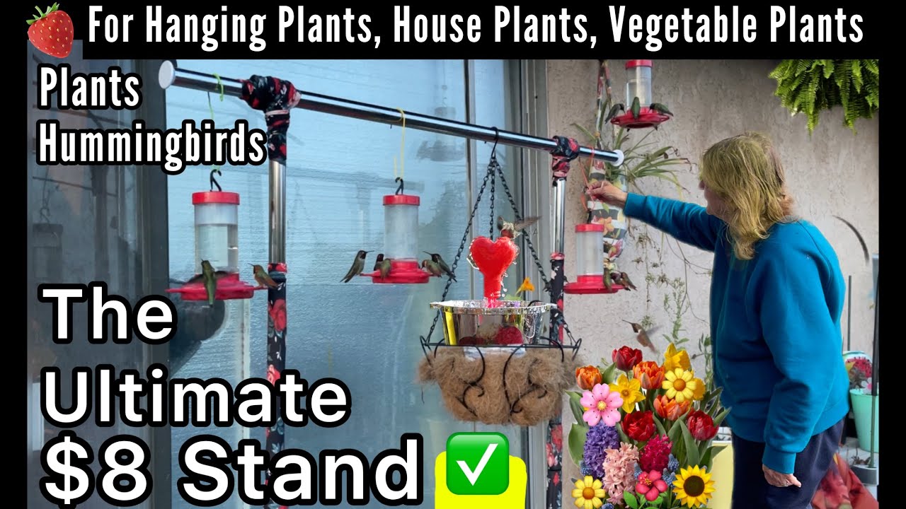 Hummingbirds LOVE Plant Hanging Stand HACK for Hummingbird Feeder ...