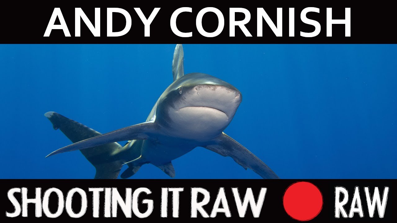 014 – Global Shark Conservation with Andy Cornish - YouTube