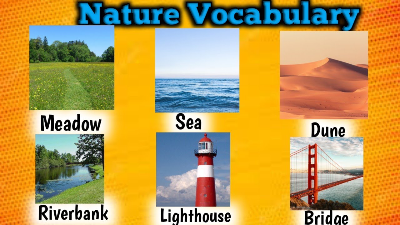 Nature Words: Useful Nature Vocabulary in English (part1) - YouTube