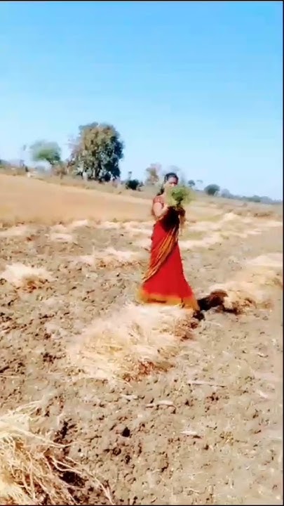 hamare khet ke chana pad raha hai - YouTube