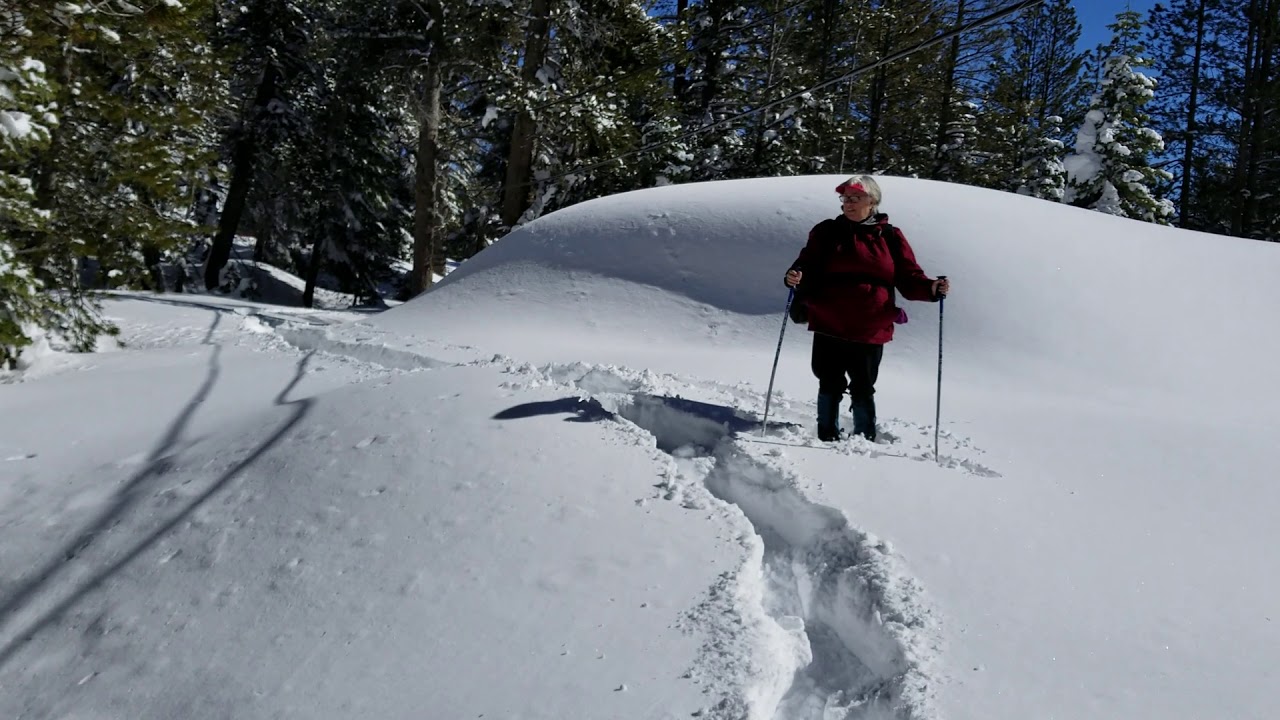 15 foot tree well - YouTube