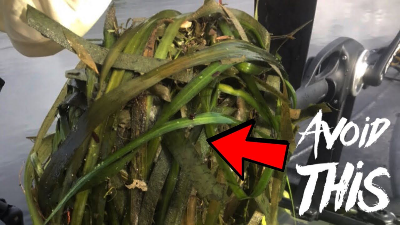 How To Install A Weed Guard On A Propel Drive - YouTube