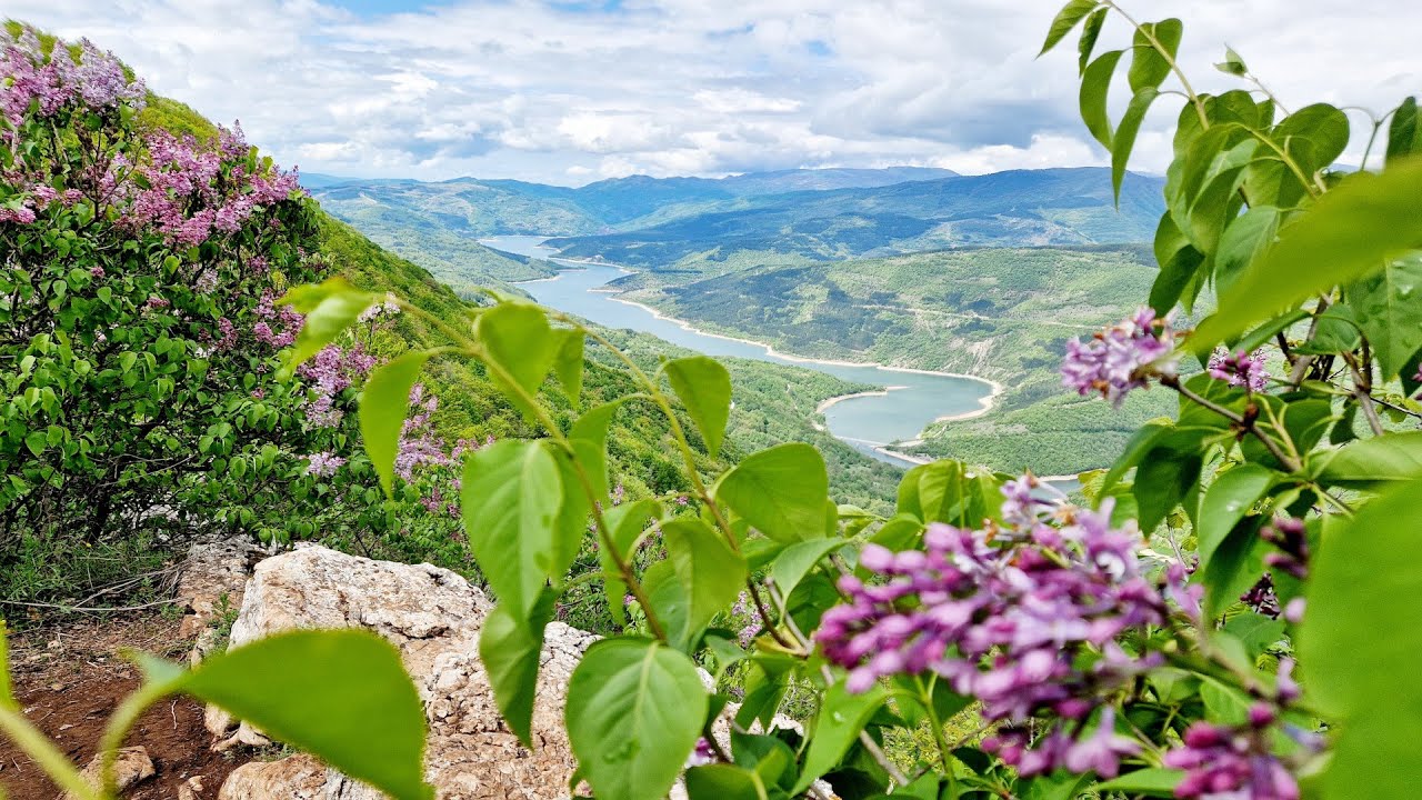 #STARA PLANINA, okolina Pirota - YouTube