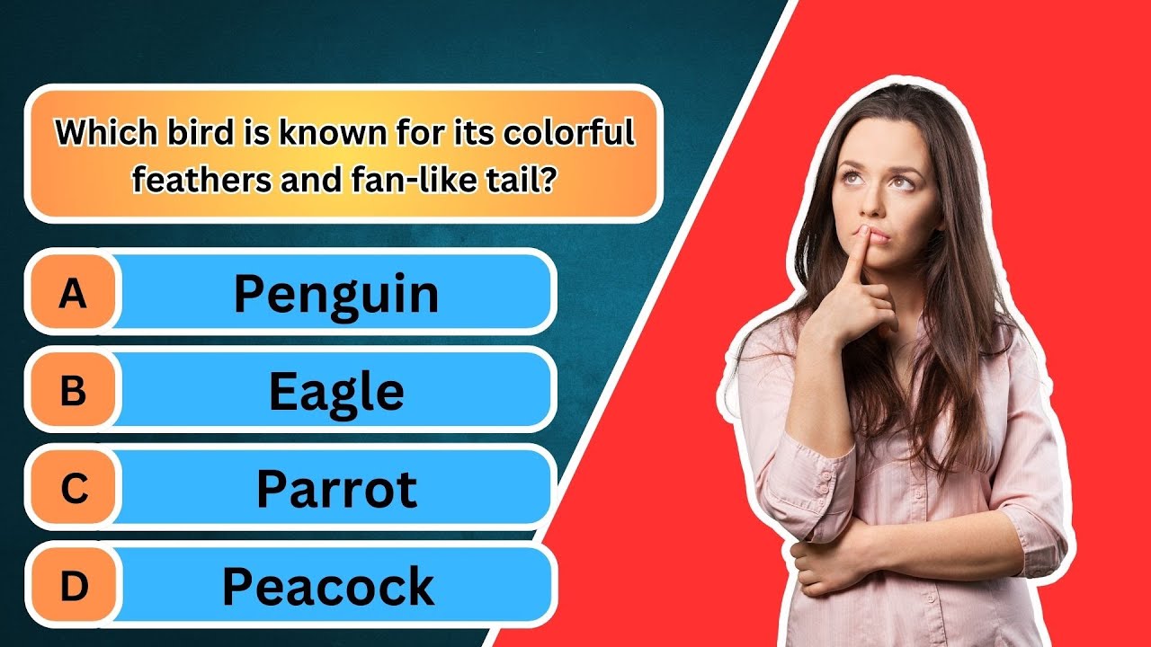 30 Animal Questions | Fun Animal Facts & Quiz - YouTube